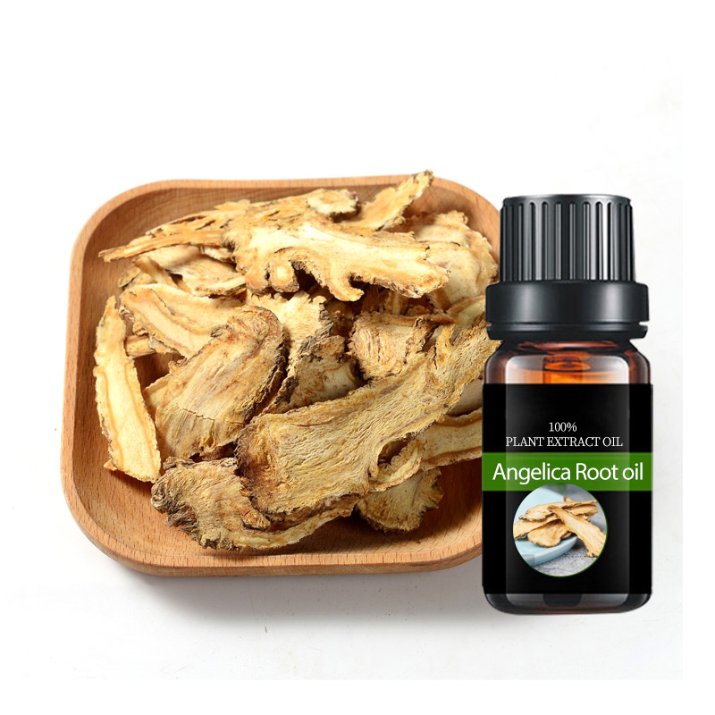 Angelica Root oil - BAISIFU