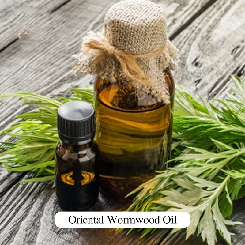 Oriental Wormwood Oil - BAISIFU