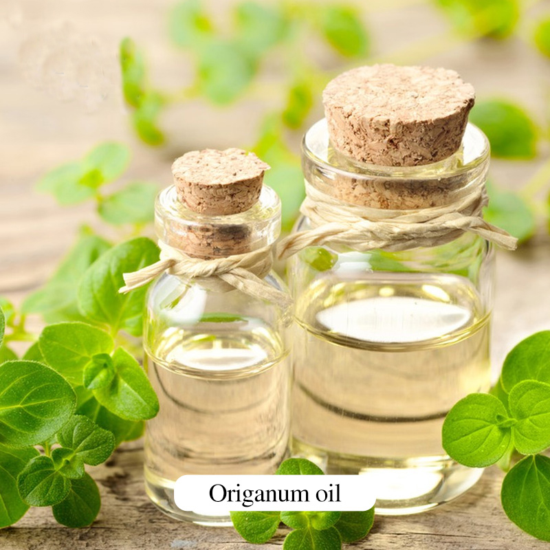 Origanum Oil - BAISIFU