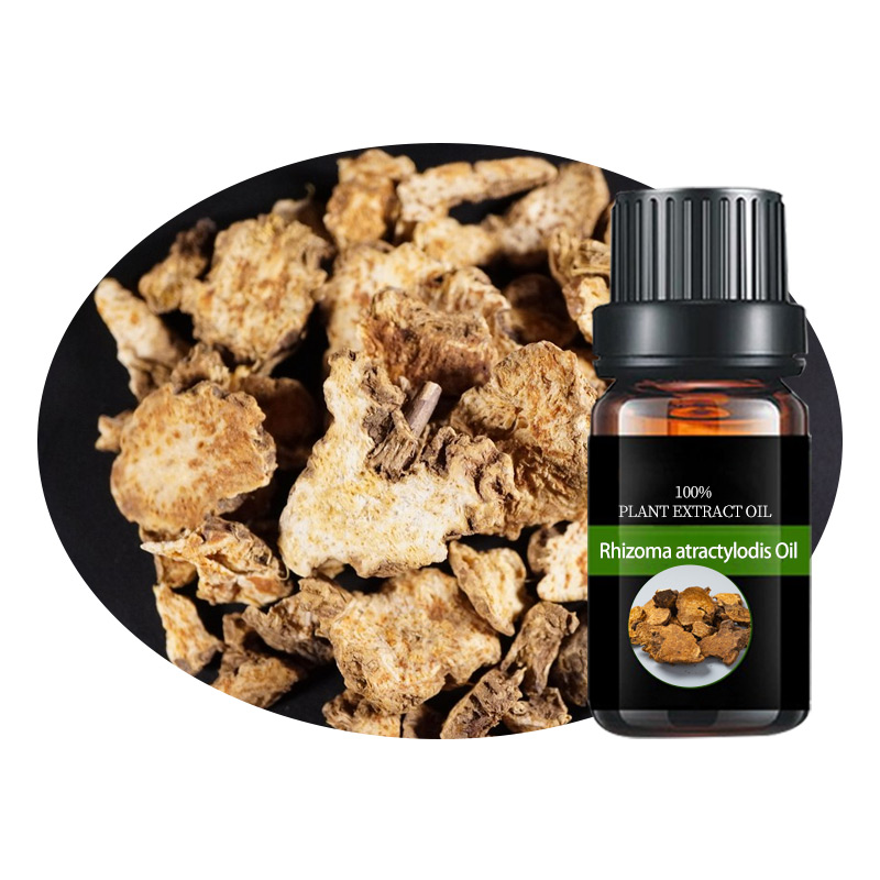 Rhizoma atractylodis Oil - BAISIFU