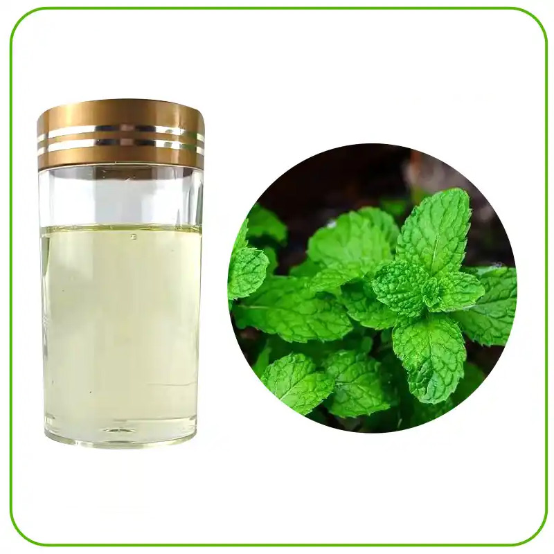 Water Base Menthol - BAISIFU