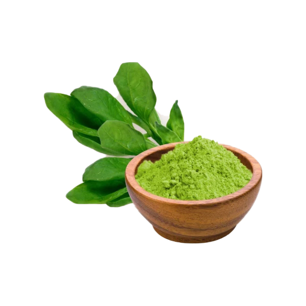 Spinach Powder - BAISIFU